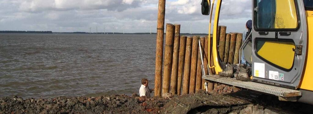 What Is Timber Piling? A Comprehensive Guide